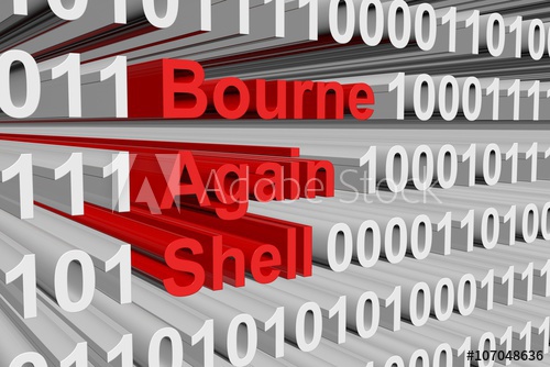 What is Shell? A interface between user and Computer - Networkhunt.com